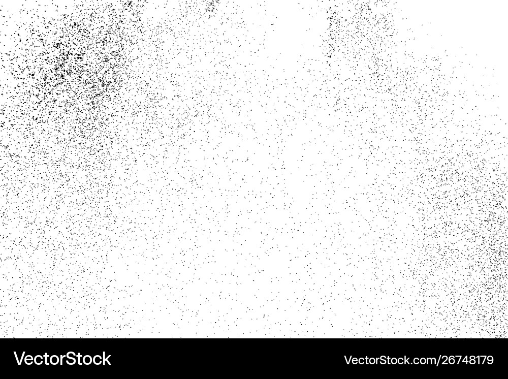 Abstract grainy texture isolated on white Vector Image