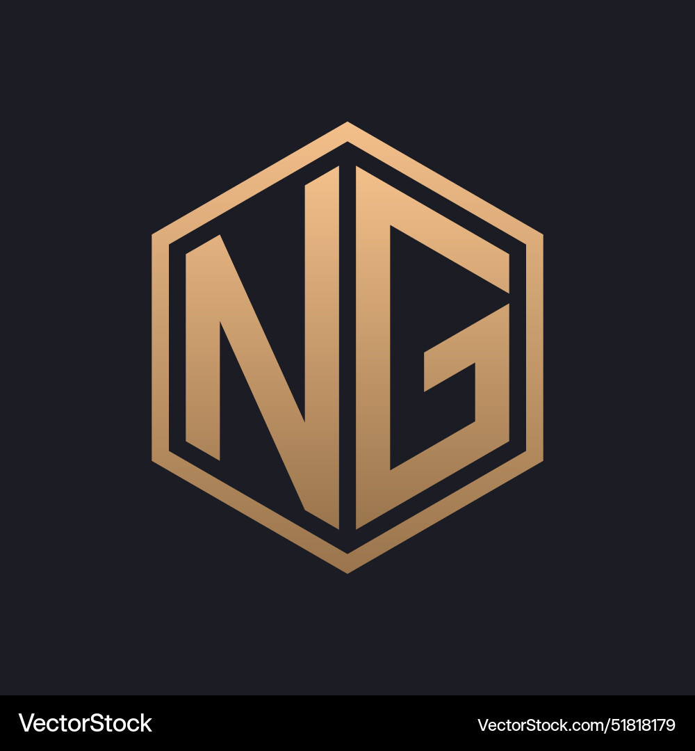 Elegant hexagon letter ng logo design initial Vector Image