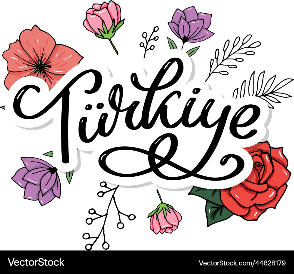 Text in the turkish turkey lettering handwritten Vector Image
