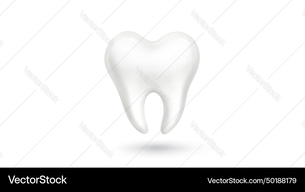 White tooth mockup isolated on background Vector Image