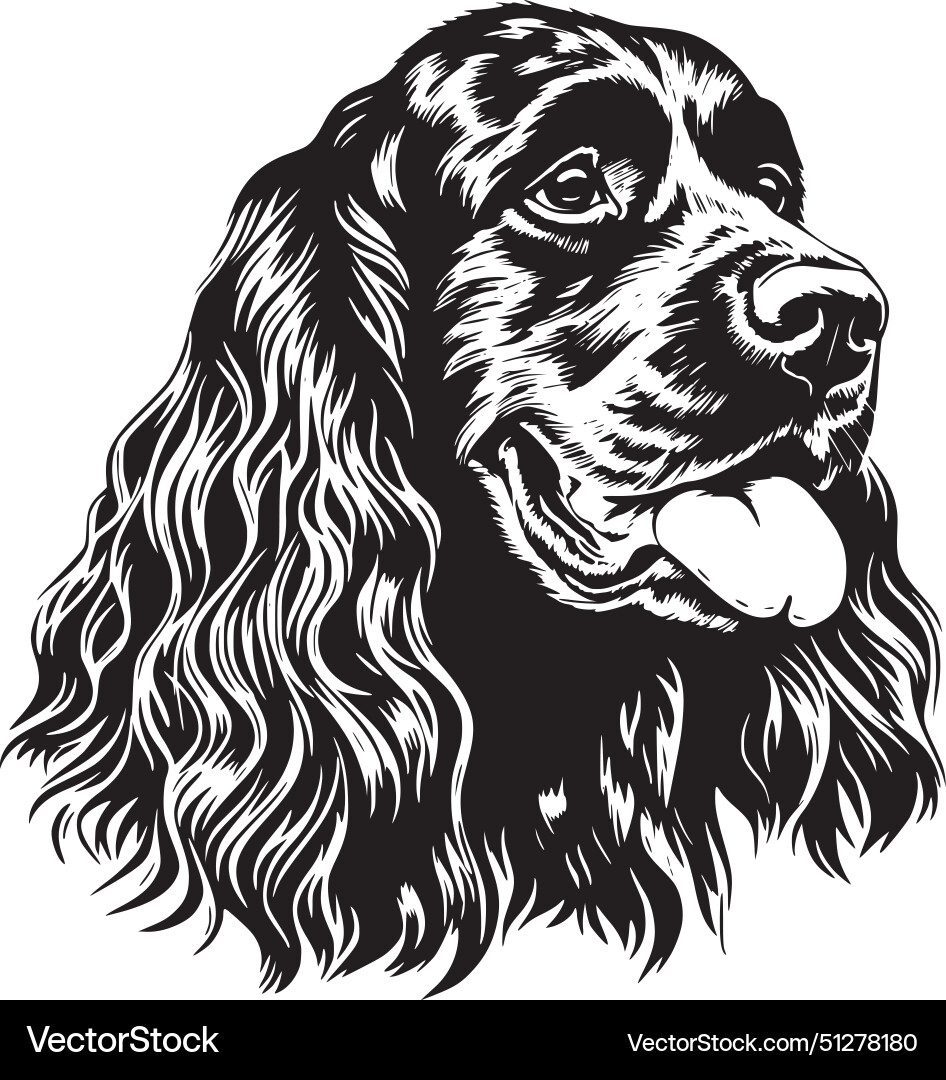 Cocker spaniel - black and white Royalty Free Vector Image