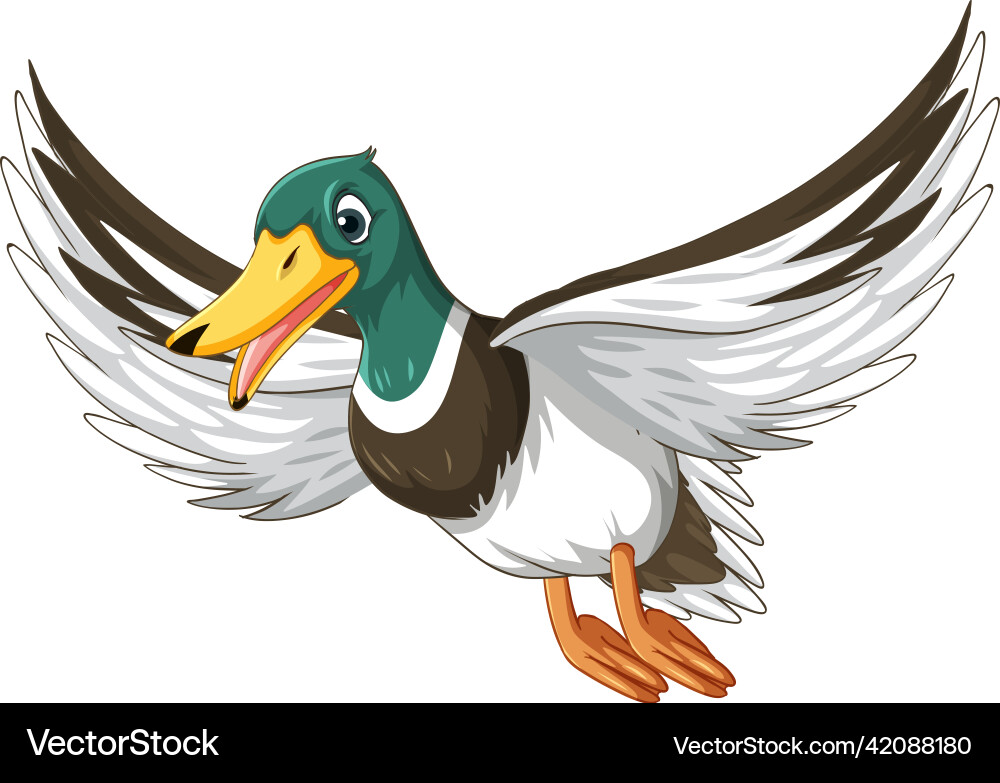 Duck with green head cartoon character Royalty Free Vector