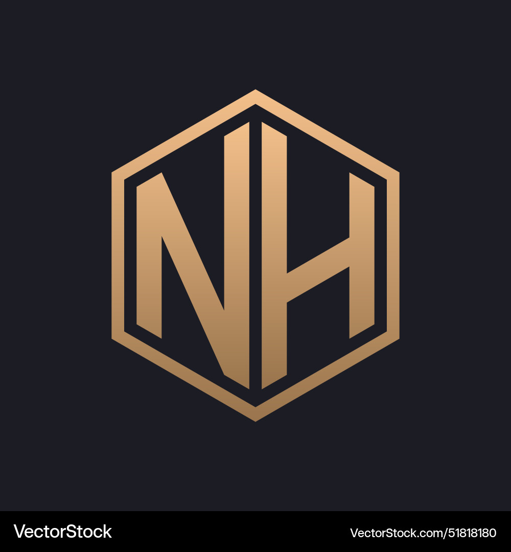 Elegant hexagon letter nh logo design initial Vector Image