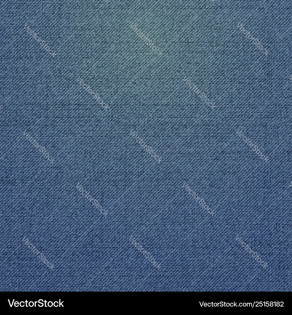 Realistic denim jeans texture Royalty Free Vector Image