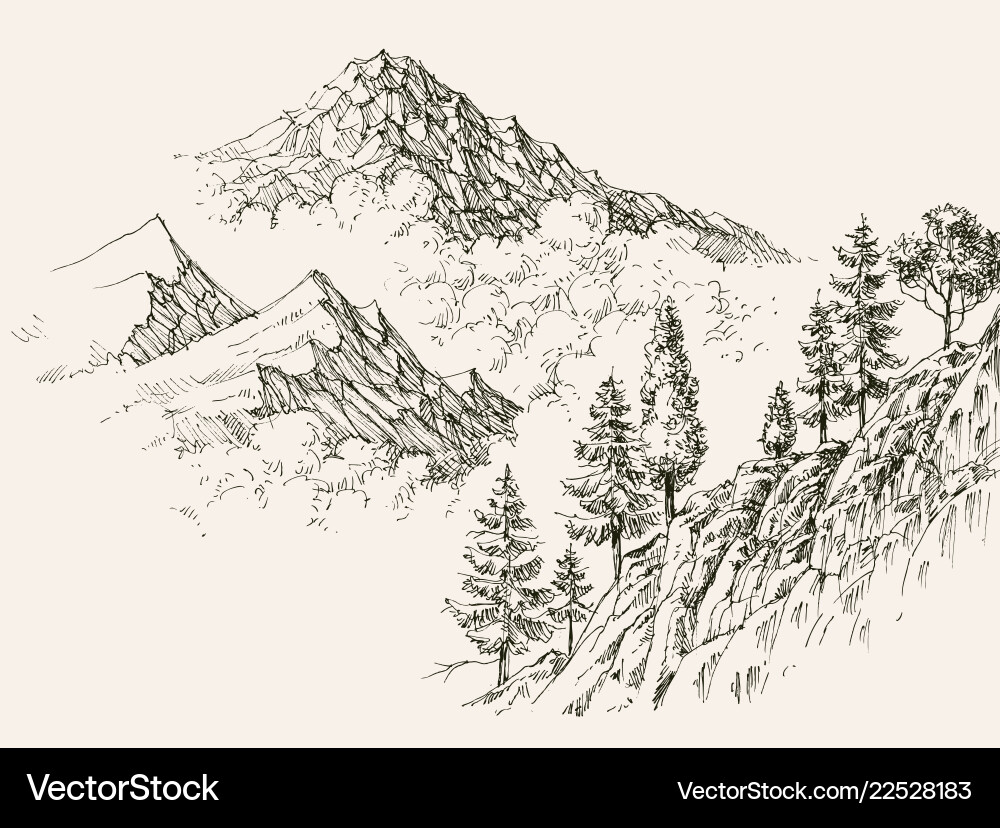 Alpine sketch mountain ranges and coniferous Vector Image