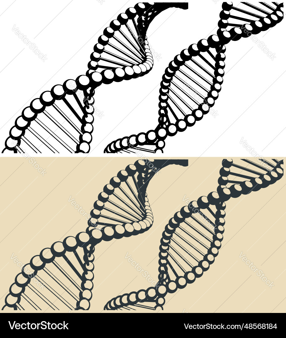 Dna Royalty Free Vector Image - VectorStock