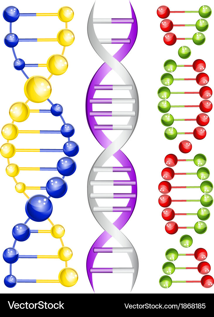 Dna Royalty Free Vector Image - VectorStock