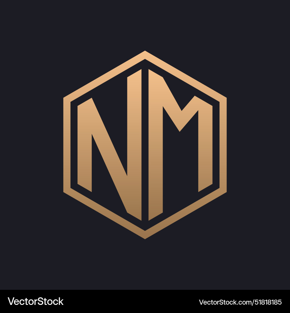 Elegant hexagon letter nm logo design initial Vector Image