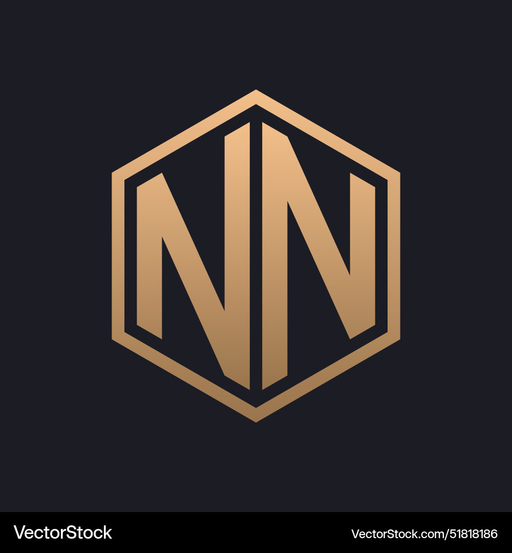 Elegant hexagon letter nn logo design initial Vector Image