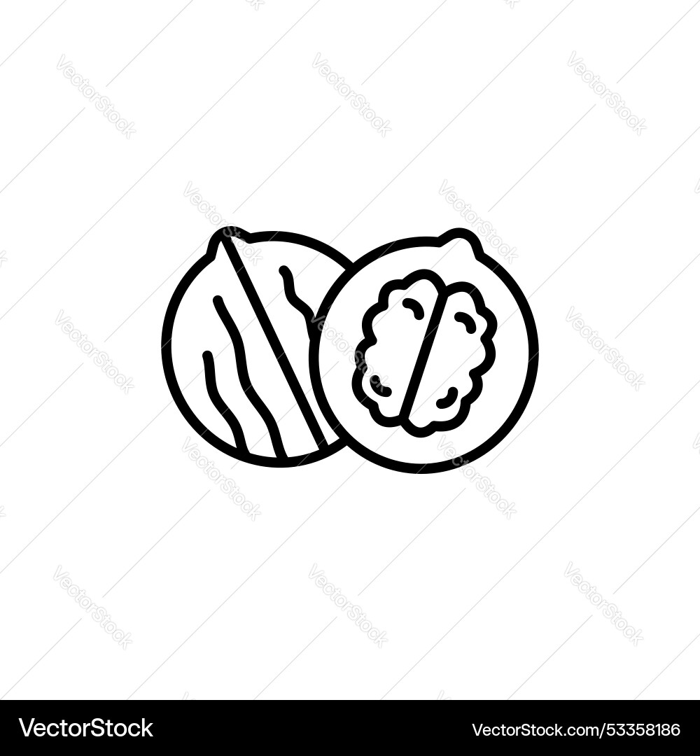 Walnut icon set nut shell food symbol in a black Vector Image