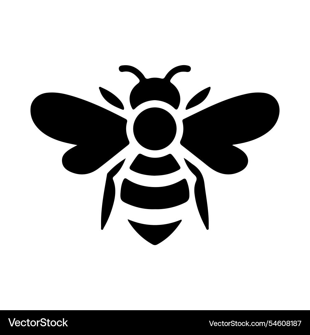 Bee species guide honey life cycle Royalty Free Vector Image