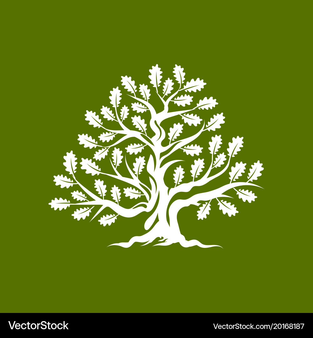 Huge and sacred oak tree silhouette logo badge Vector Image