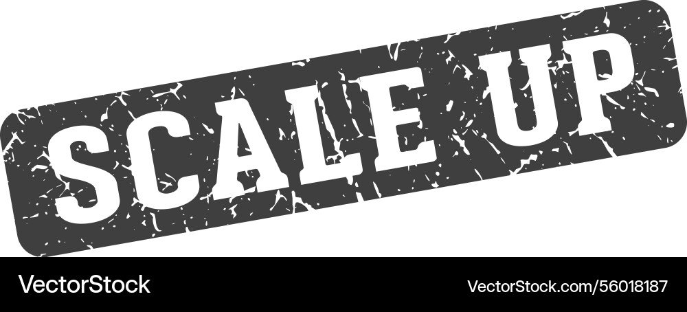 Scale up rectangular sign stamp Royalty Free Vector Image