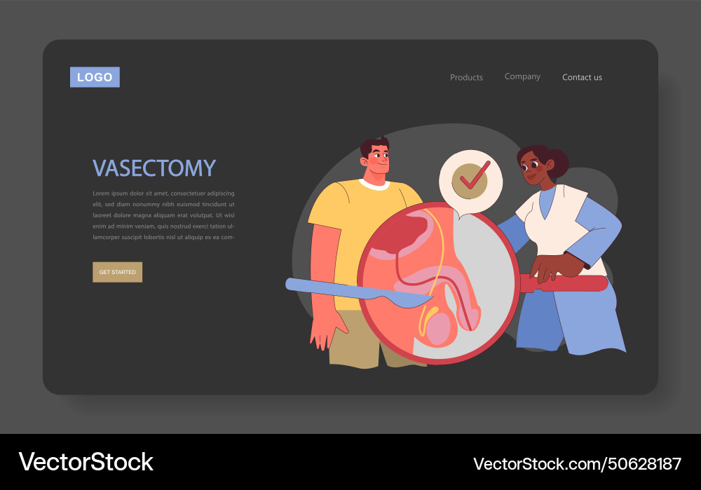 Types of contraception man considers vasectomy Vector Image