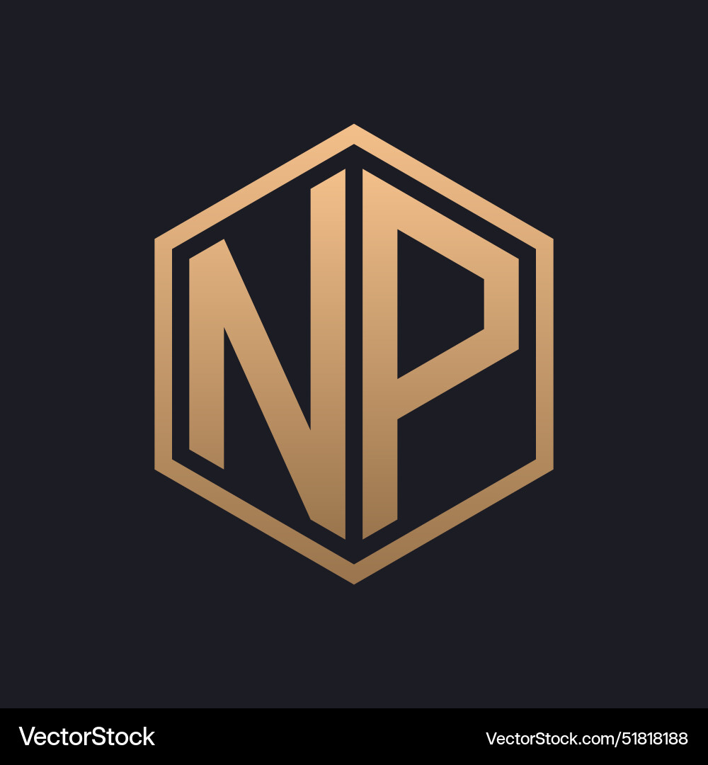 Elegant hexagon letter np logo design initial Vector Image
