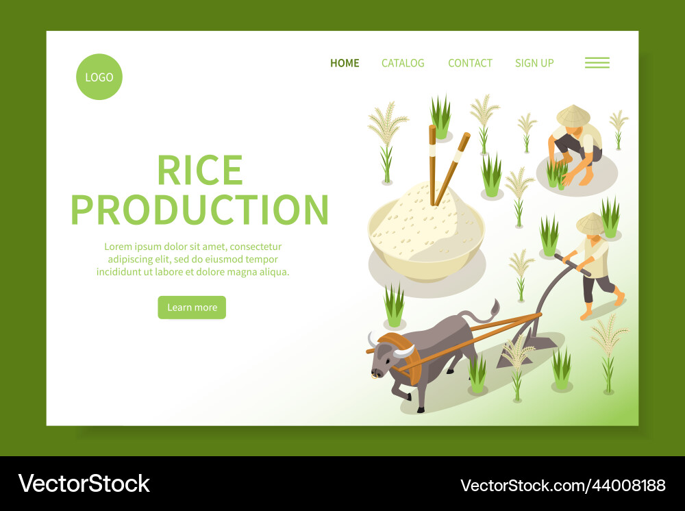 Rice production isometric website Royalty Free Vector Image