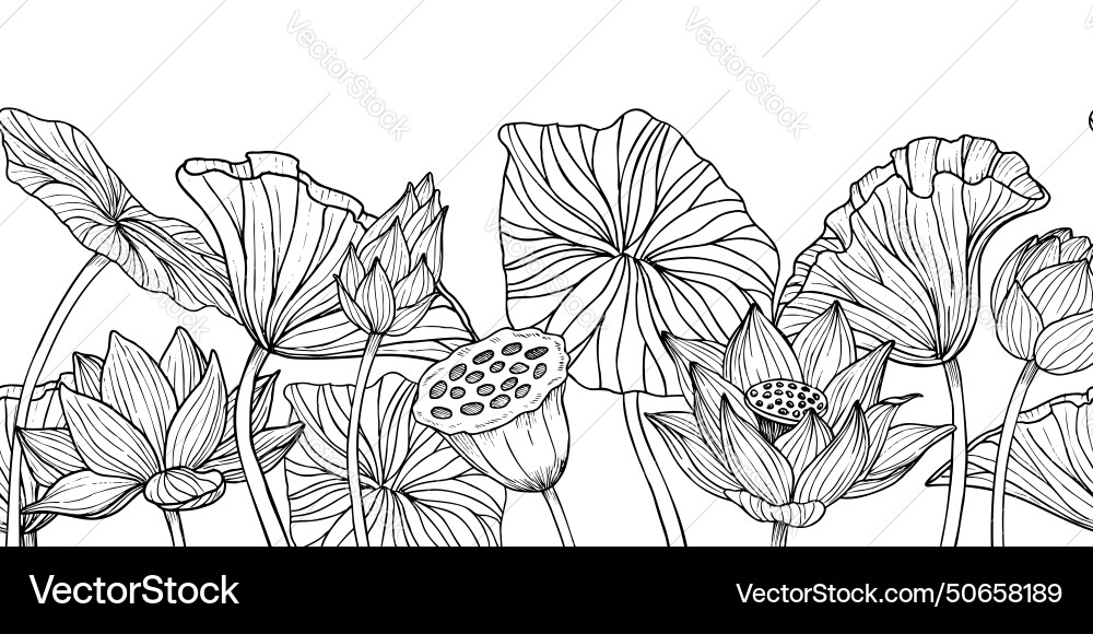 Lotus flower seamless border hand drawn Royalty Free Vector
