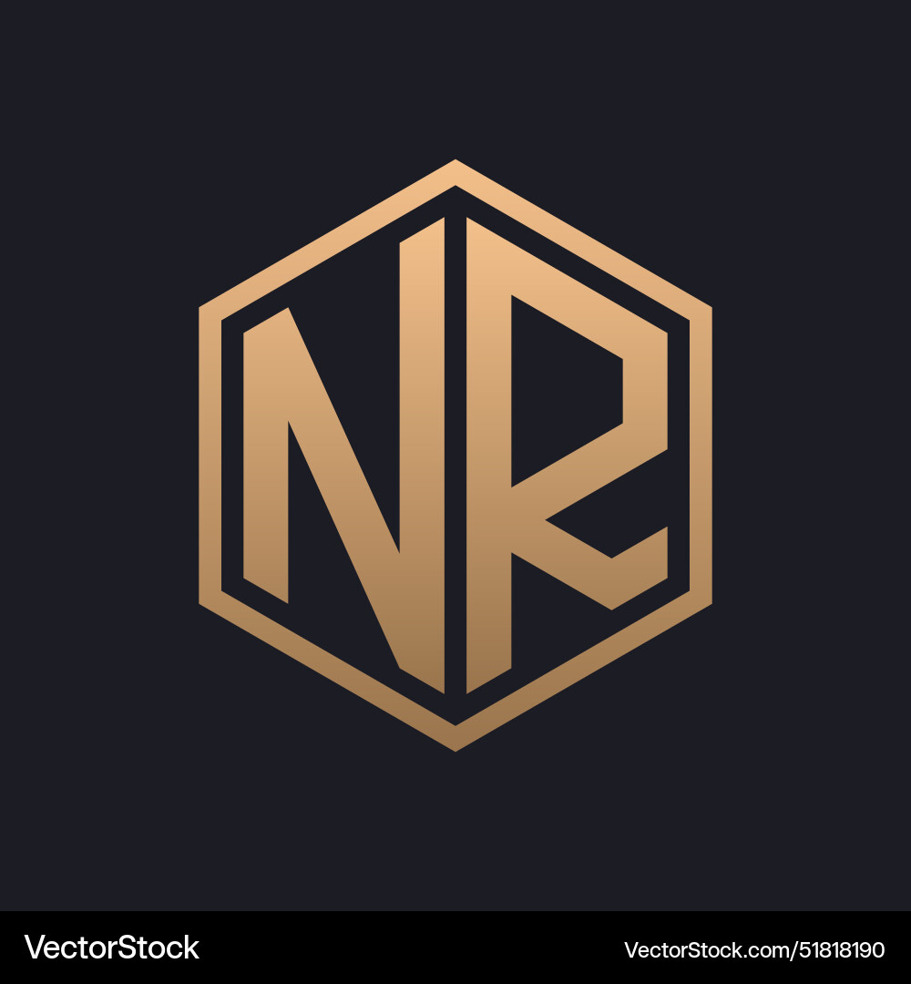Elegant hexagon letter nr logo design initial Vector Image