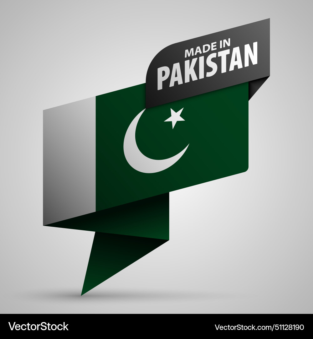 Made in pakistan graphic and label Royalty Free Vector Image