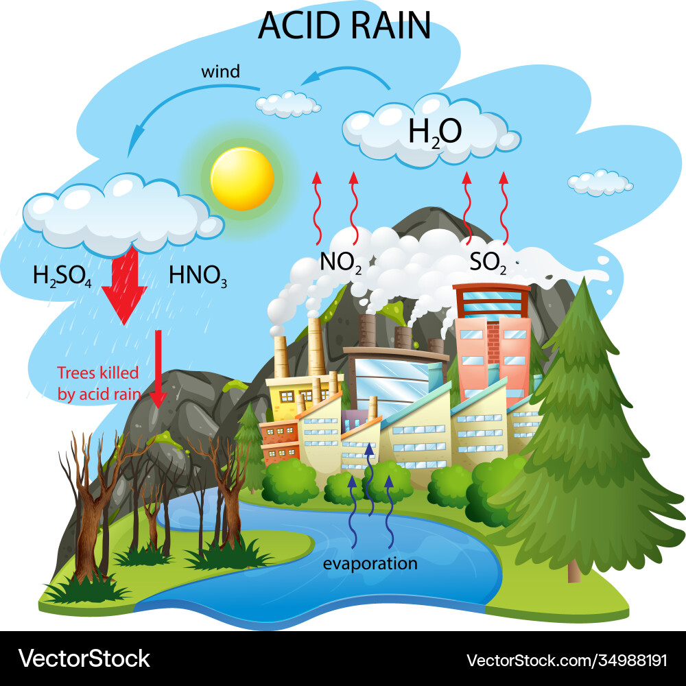 Diagram showing acid rain pathway on white Vector Image