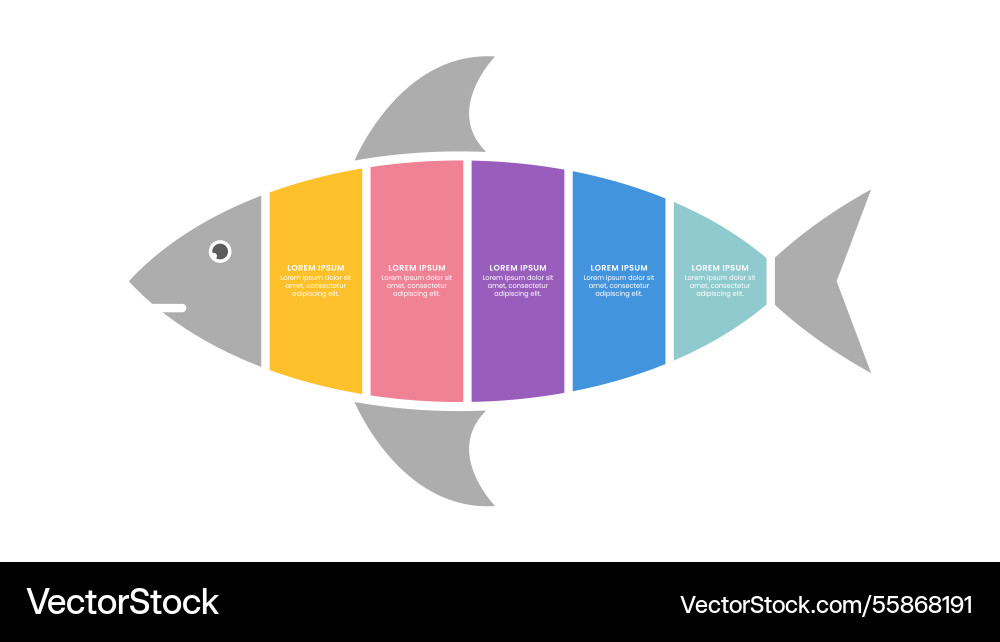 Fishbone diagram infographic with 5 steps Vector Image