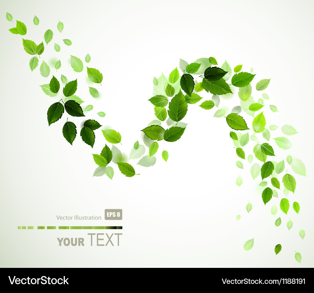 Green leaves Royalty Free Vector Image - VectorStock