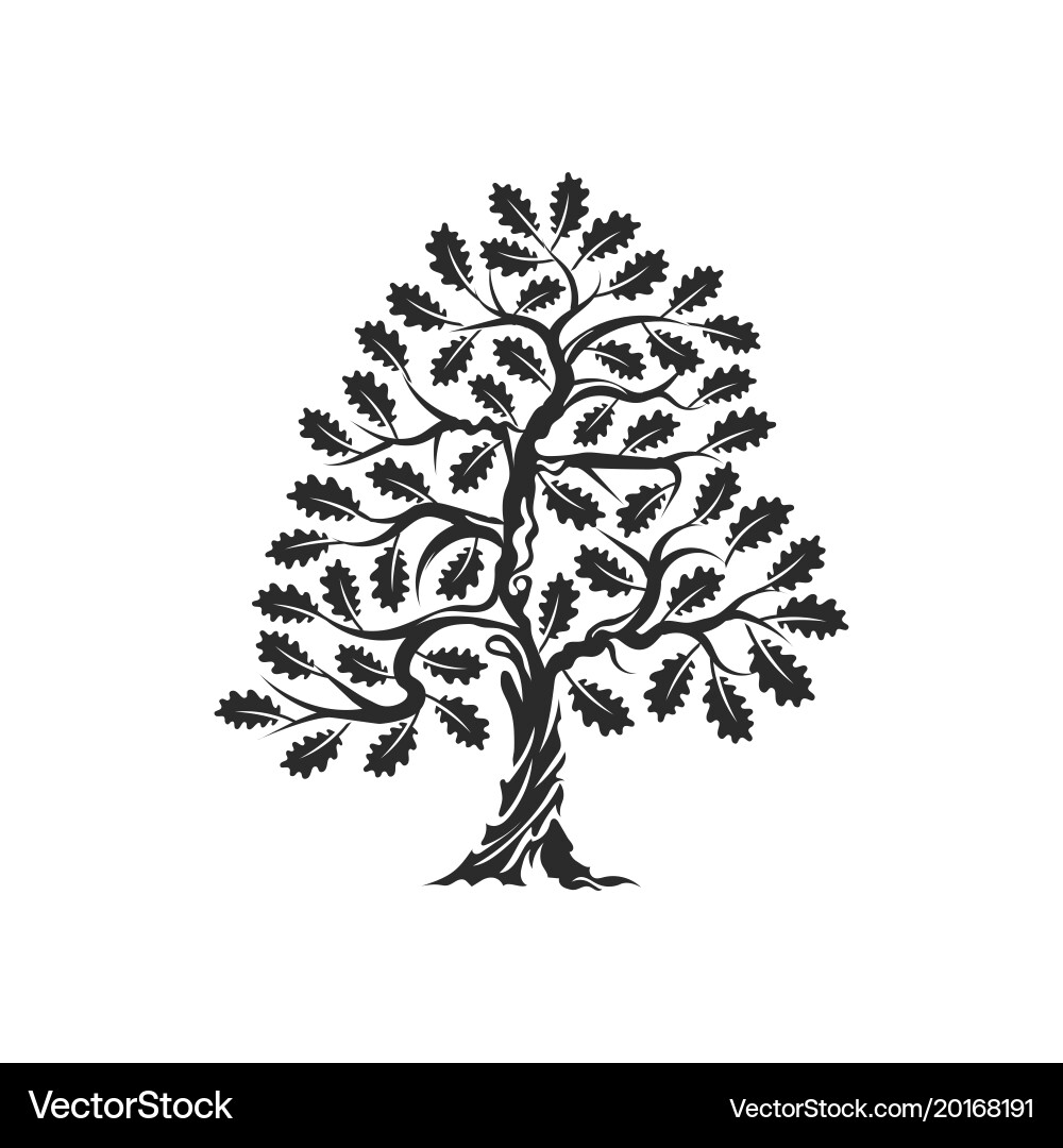 Huge and sacred oak tree silhouette logo badge Vector Image