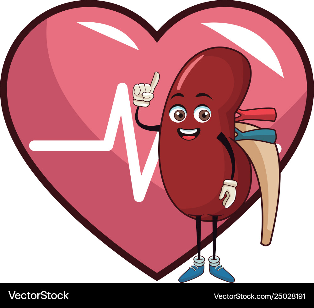 Kidney funny cartoon Royalty Free Vector Image