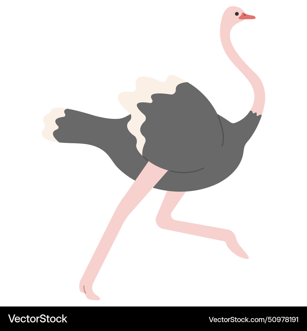 Ostrich single 1 Royalty Free Vector Image - VectorStock