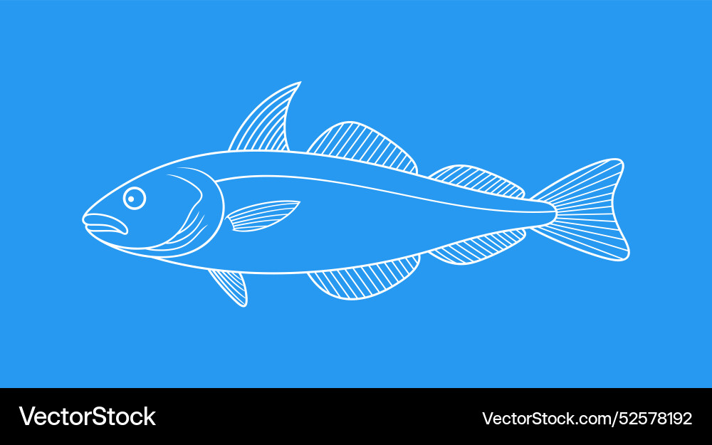 Haddock Royalty Free Vector Image - VectorStock