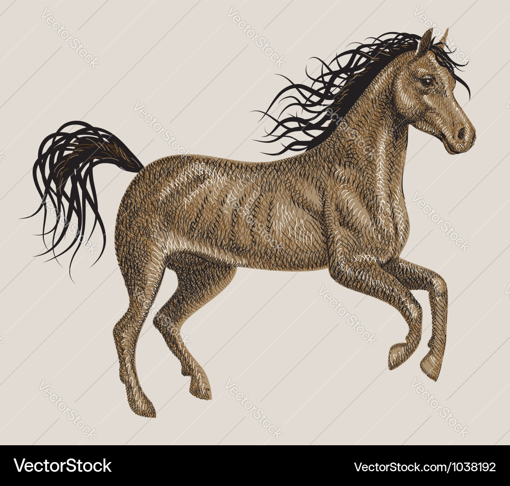 Horse drawing Royalty Free Vector Image - VectorStock