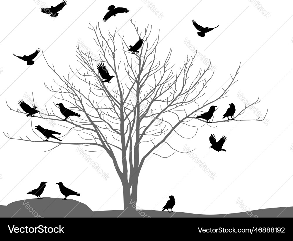 Silhouettes of ravens and crows on tree Royalty Free Vector