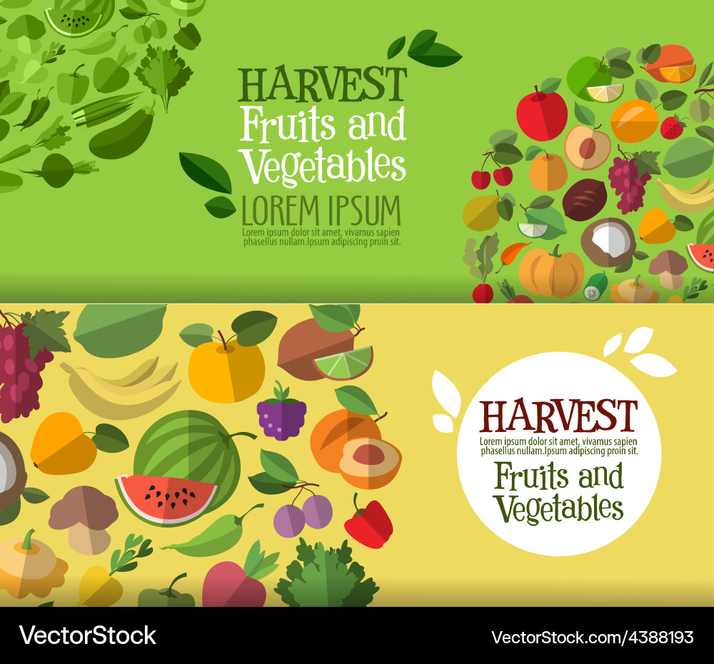 Fruits and vegetables logo design template Vector Image