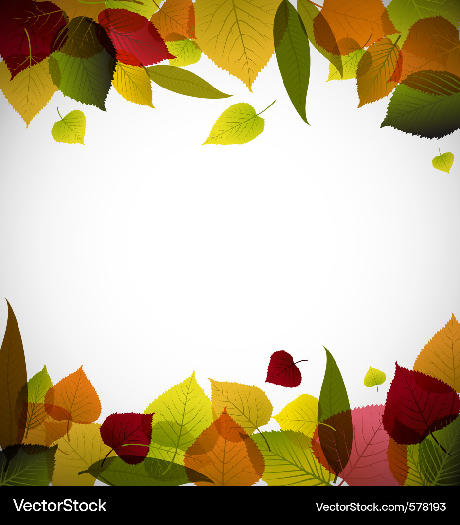 Organic border Royalty Free Vector Image - VectorStock