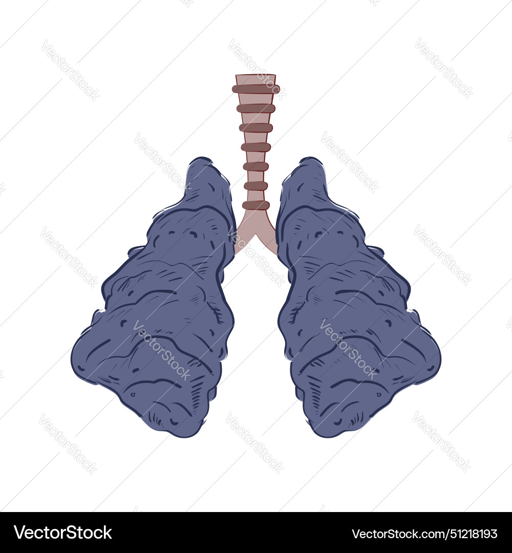 Sick lungs of smoker internal organs Royalty Free Vector