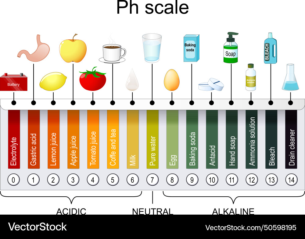 Ph Scale Universal Indicator