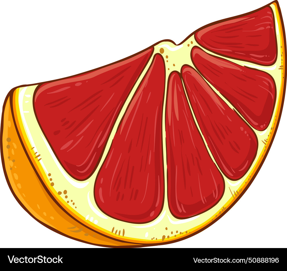 Blood orange fruit colored detailed Royalty Free Vector