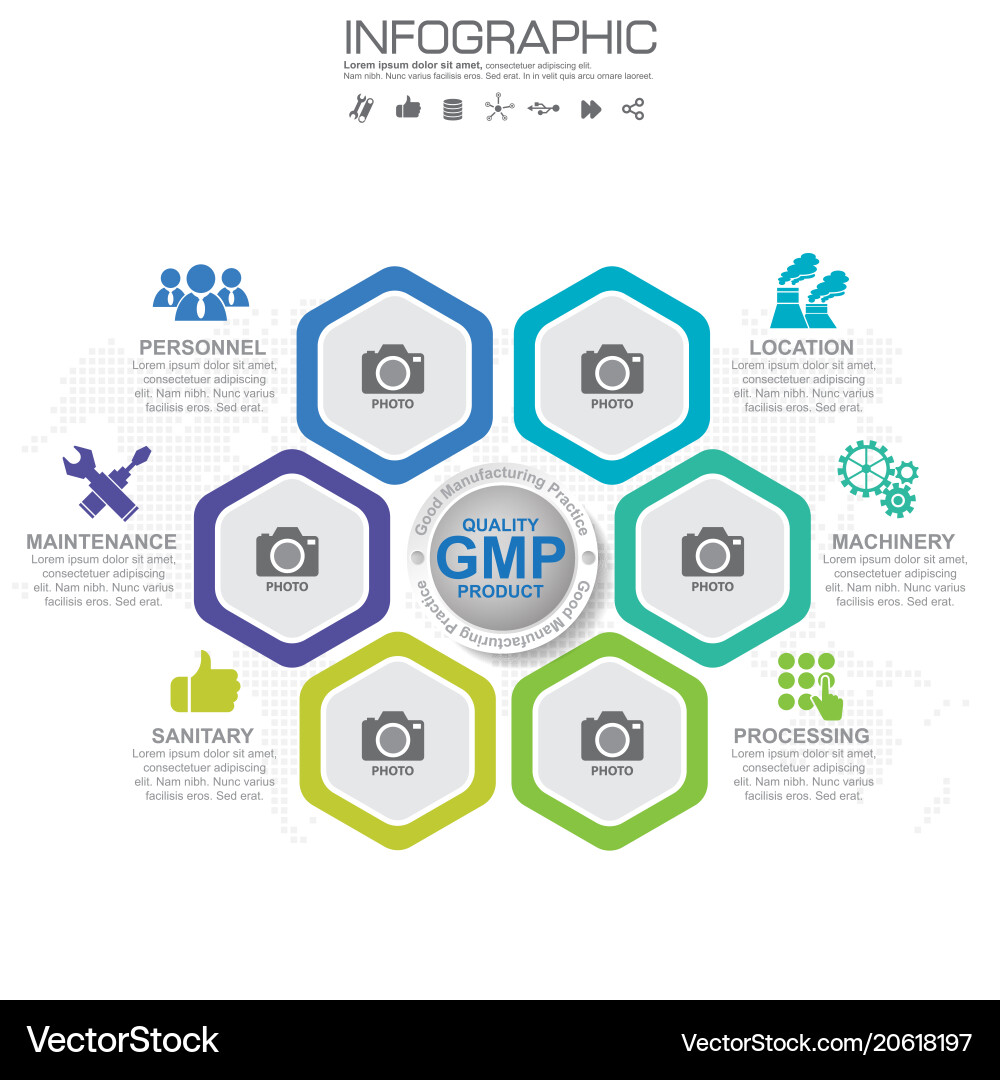 GMP Infographic - Manufacturing Practice Vector Image