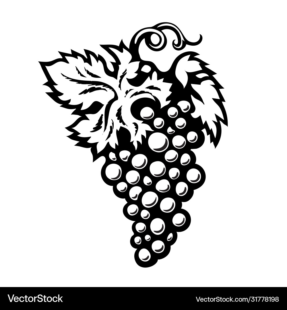Engraved Bunch of Grapes Royalty Free Vector Image