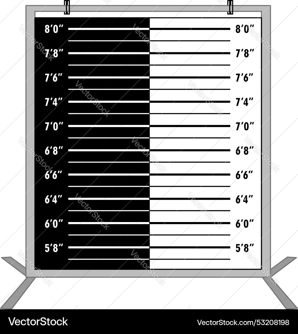 Police lineup or mugshot background with height Vector Image