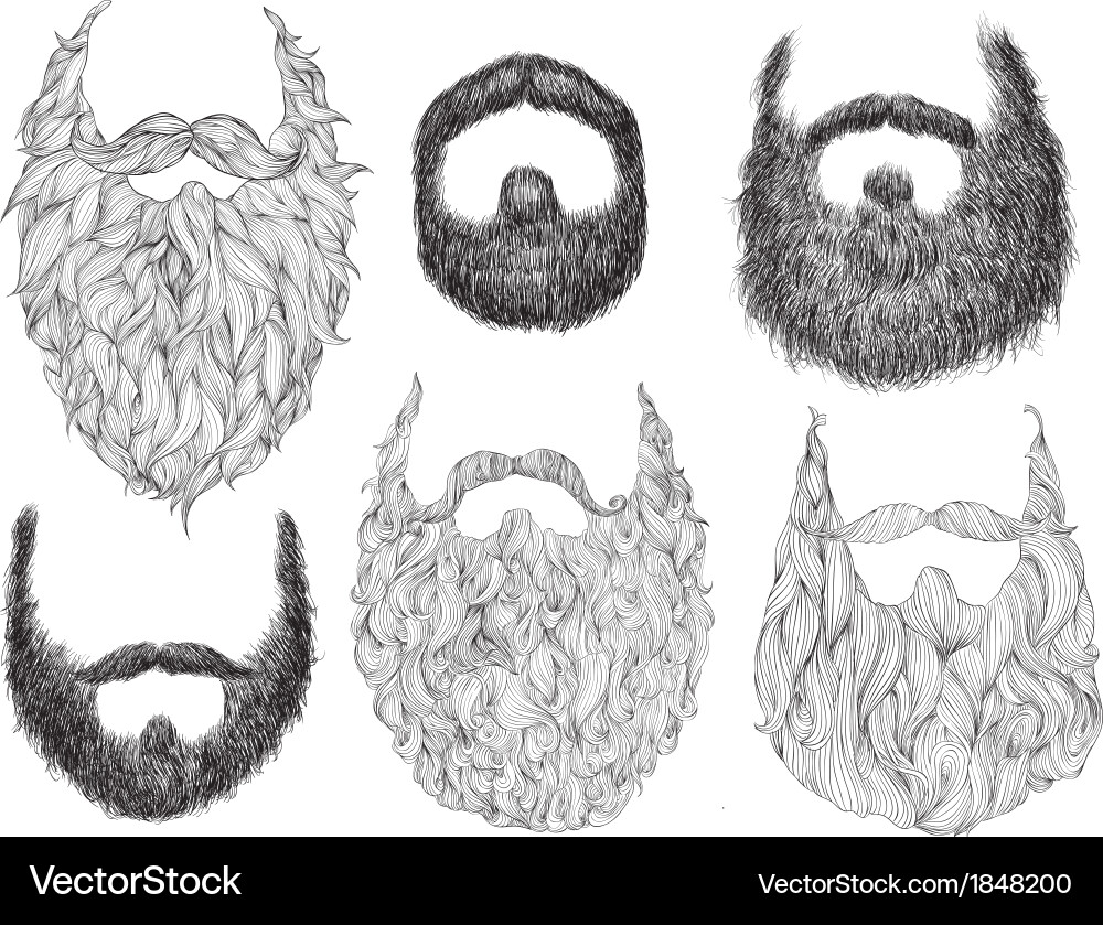 Detailed Beard Collection Royalty Free Vector Image