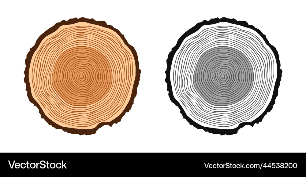 Round tree trunk cuts in various colors sawn pine Vector Image
