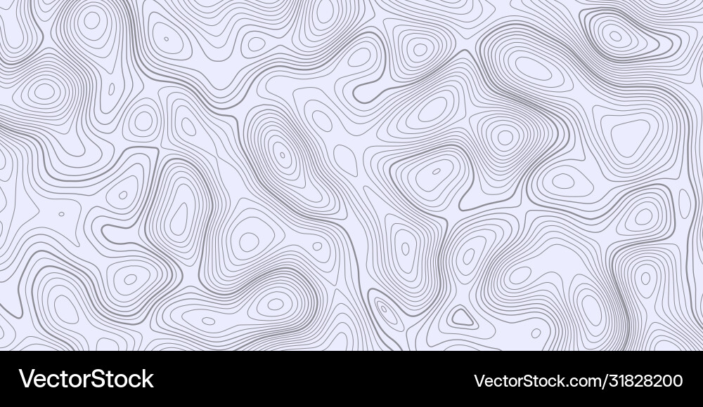 Topographic map background grey abstract contour Vector Image