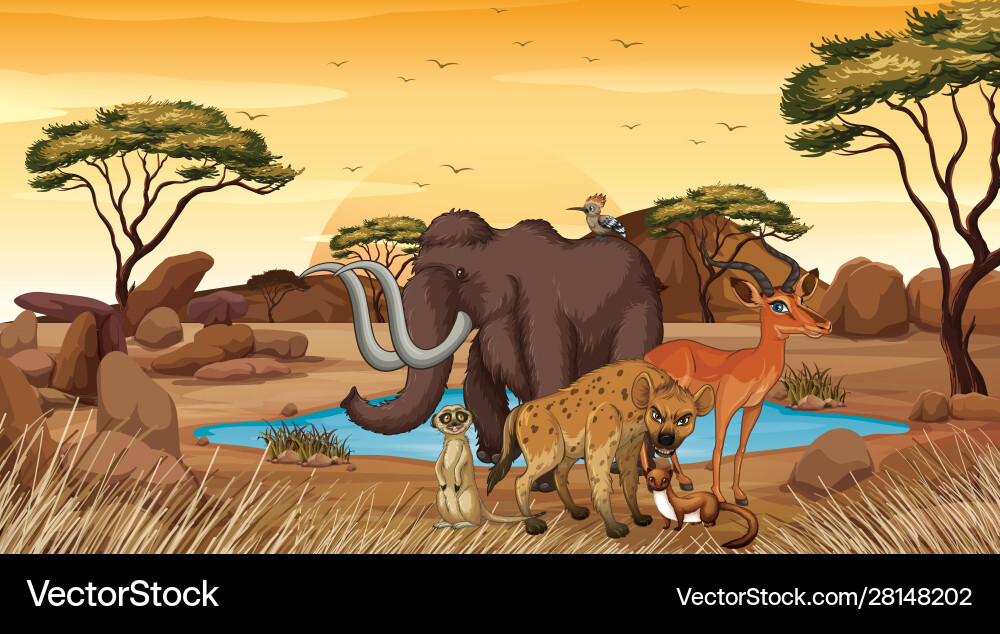 Scene with animals in desert field Royalty Free Vector Image