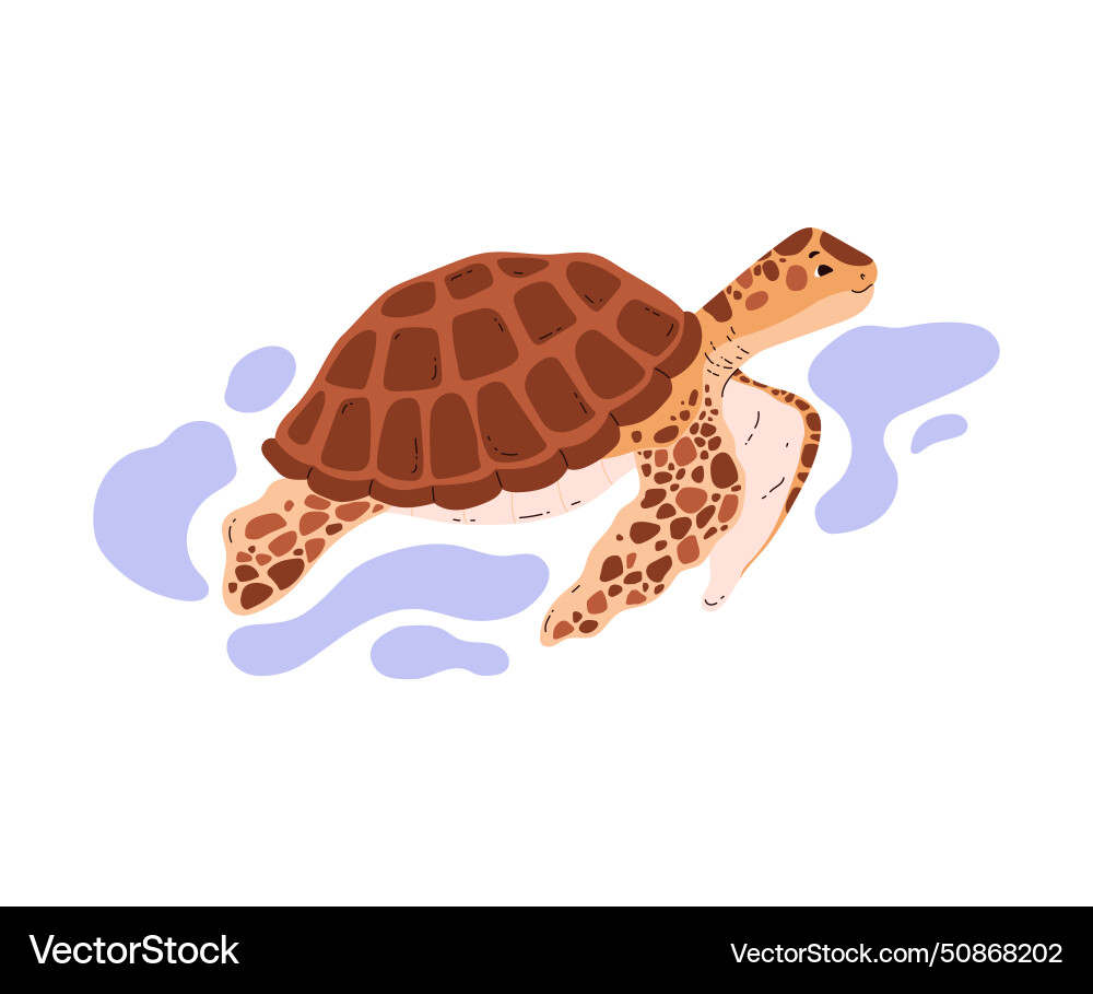 Sea turtle with brown shell cartoon tortoise Vector Image