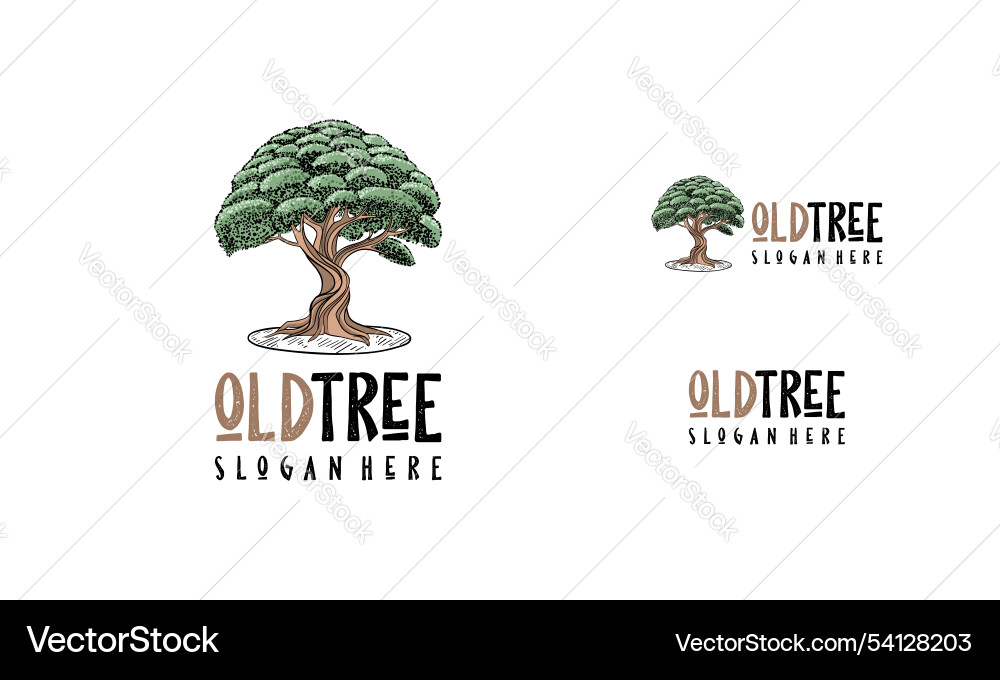 Vintage hand gezeichnete Eichenbaum Logo Design Vektorbild