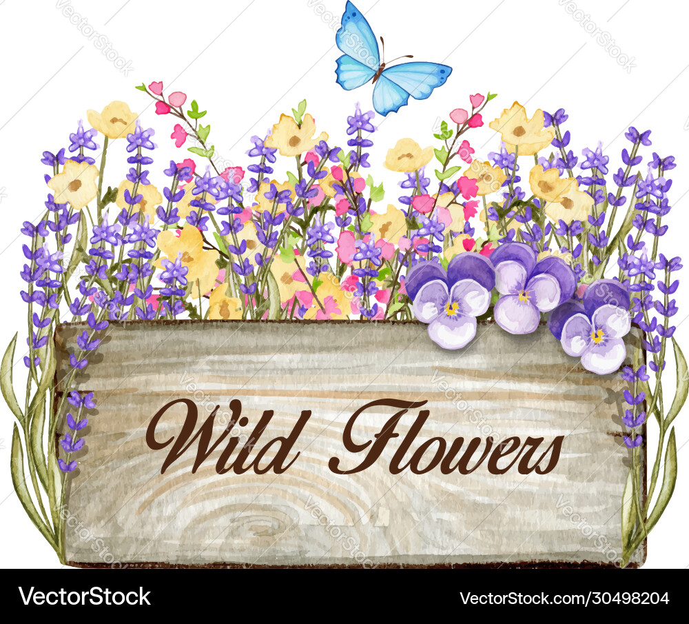 Watercolor Wildflower Sign Royalty Free Vector Image