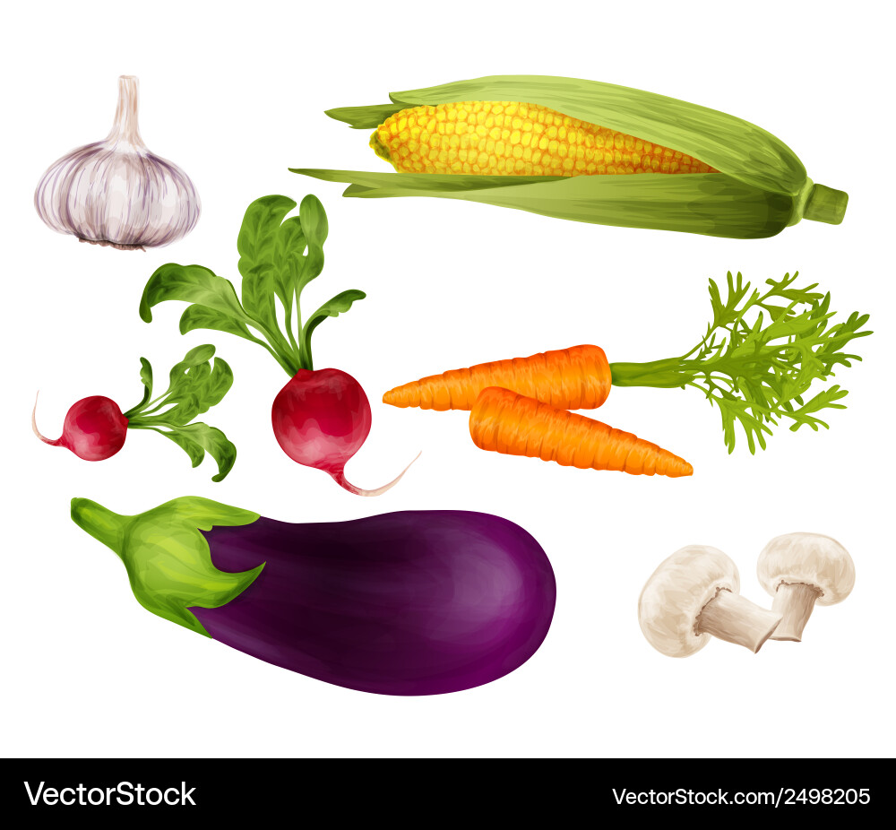 Vegetables realistic set Royalty Free Vector Image