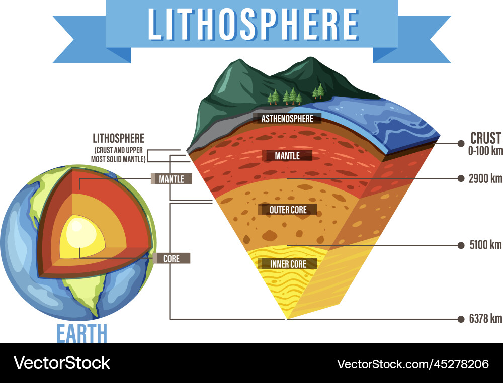 Diagram showing layers of the earth lithosphere Vector Image
