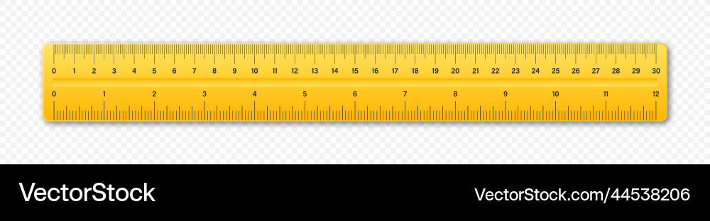 Realistic plastic ruler with measurement scale Vector Image